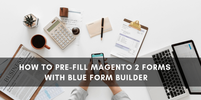 How To Pre Fill Magento 2 Forms With Blue Form Builder Magezon