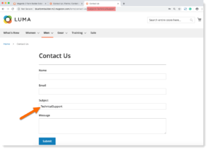 How to Auto-Populate Form Fields Using Query Strings - Magezon