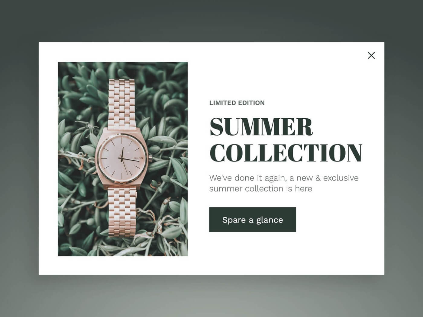 30+ Clever Website Popup Examples - Magezon