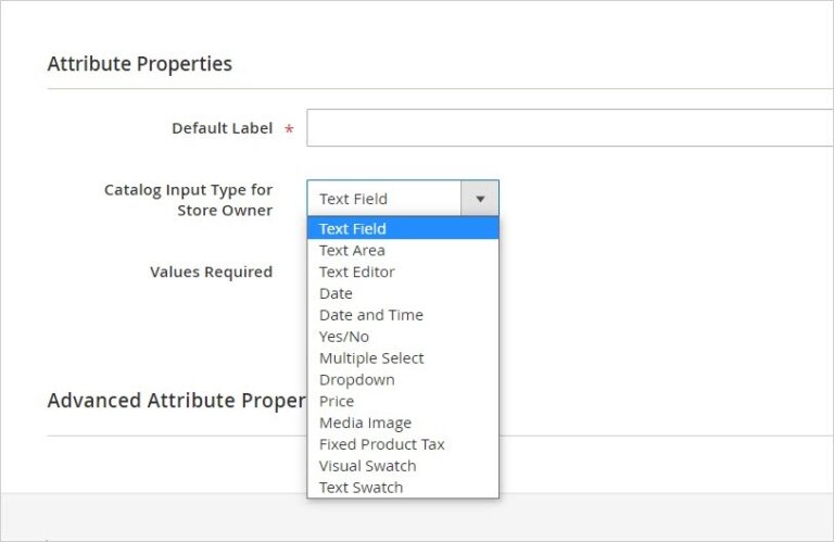 Magento Attribute Input Types Explanation Examples Magezon