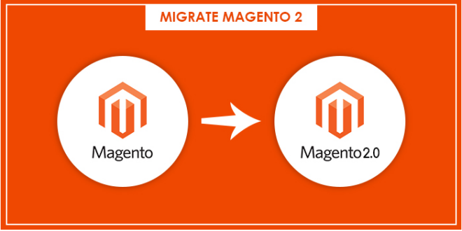 Magento Data Migration Tool: Everything You Need To Know - Magezon