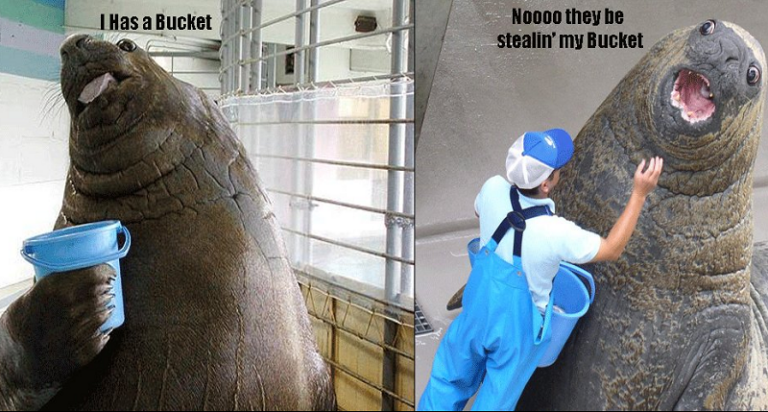 100+ Ridiculously Weird Websites - Magezon