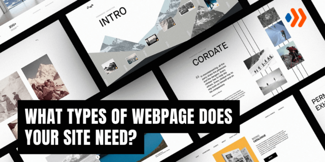 Main Types of Webpage Your Site Should Have & Examples - Magezon