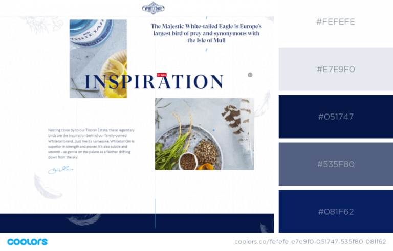 40+ Amazing Color Schemes for Websites That Engage Users - Magezon
