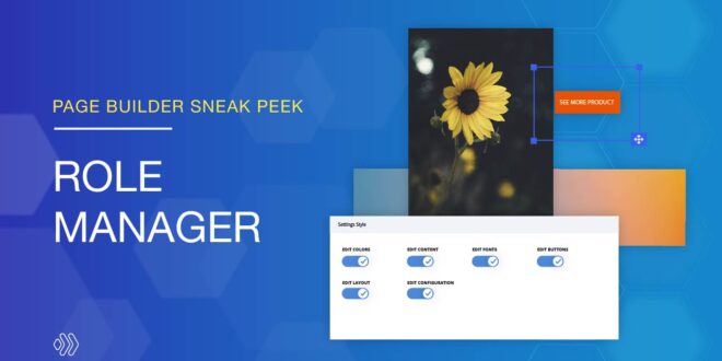 Page Builder 3.0 Sneak Peek: Role Manager - Magezon Blog