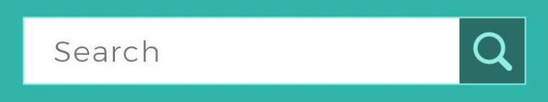 15 Search Bar Design Best Practices in Details - Magezon