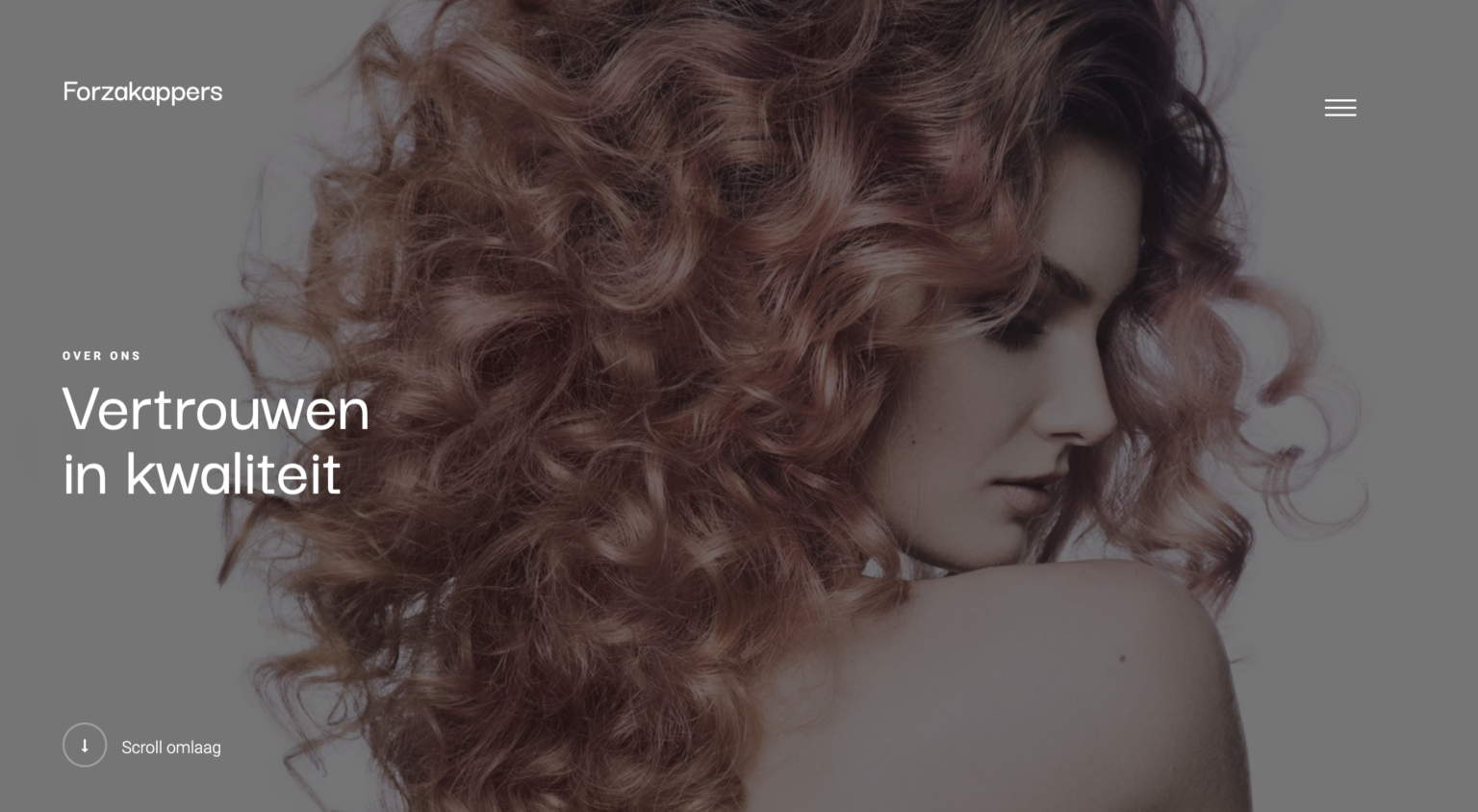 Hair Salon Websites: 30 Superb Ideas to Steal (+ Best Practices) - Magezon