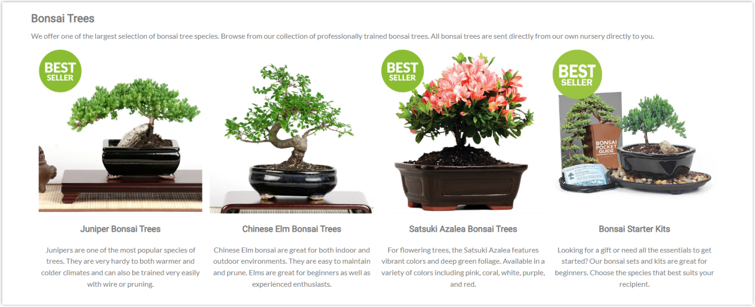 Product Category Page Design: Everything You Should Know - Magezon