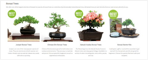 Product Category Page Design: Everything You Should Know - Magezon