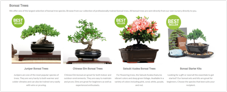 Product Category Page Design: Everything You Should Know - Magezon