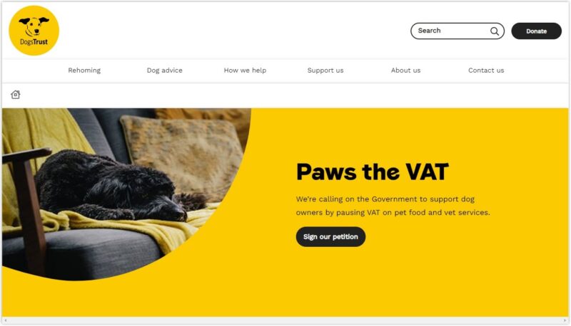 Yellow Website: 15+ Stunning Examples With Color Schemes - Magezon